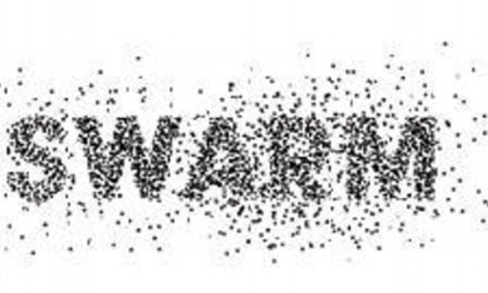 What is “Swarm” Training & Why Do We Use It? [VIDEO] – Coopers On A Mission